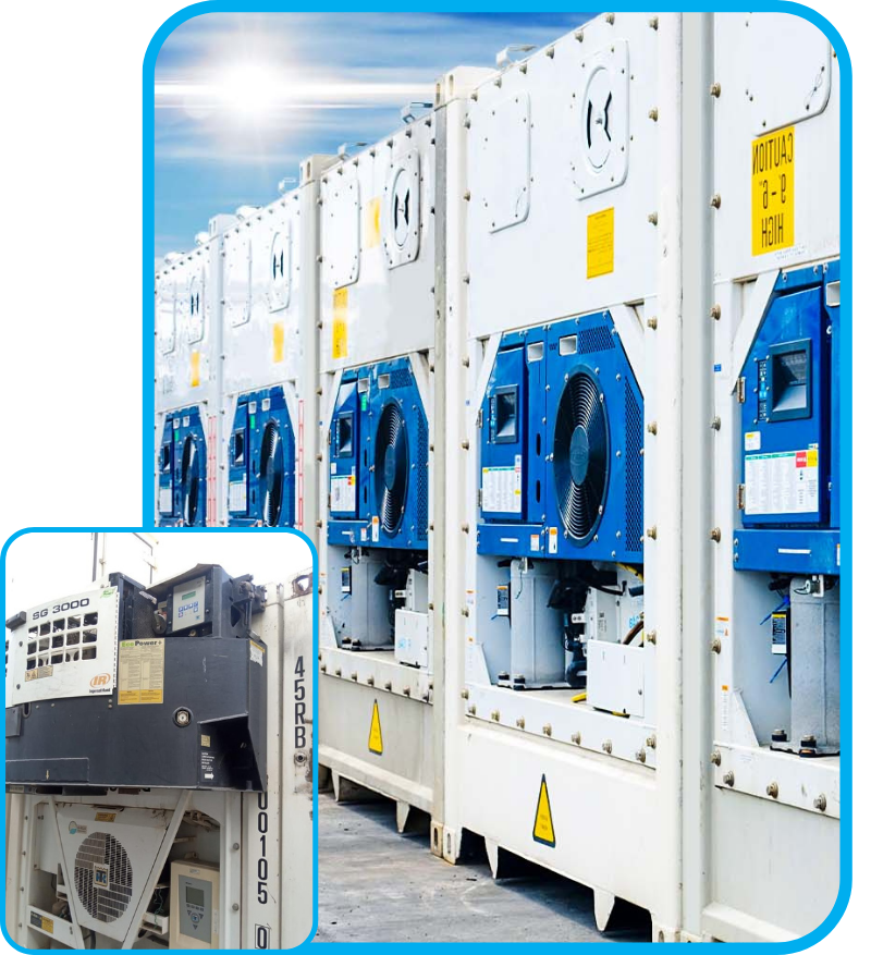 The No 1 leading changers of cold storage in East Africa - Ice Cold Log